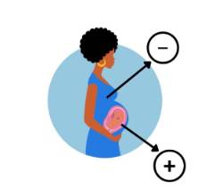 ¿Qué es el factor Rh? Precauciones durante el embarazo | Blogs Quirónsalud